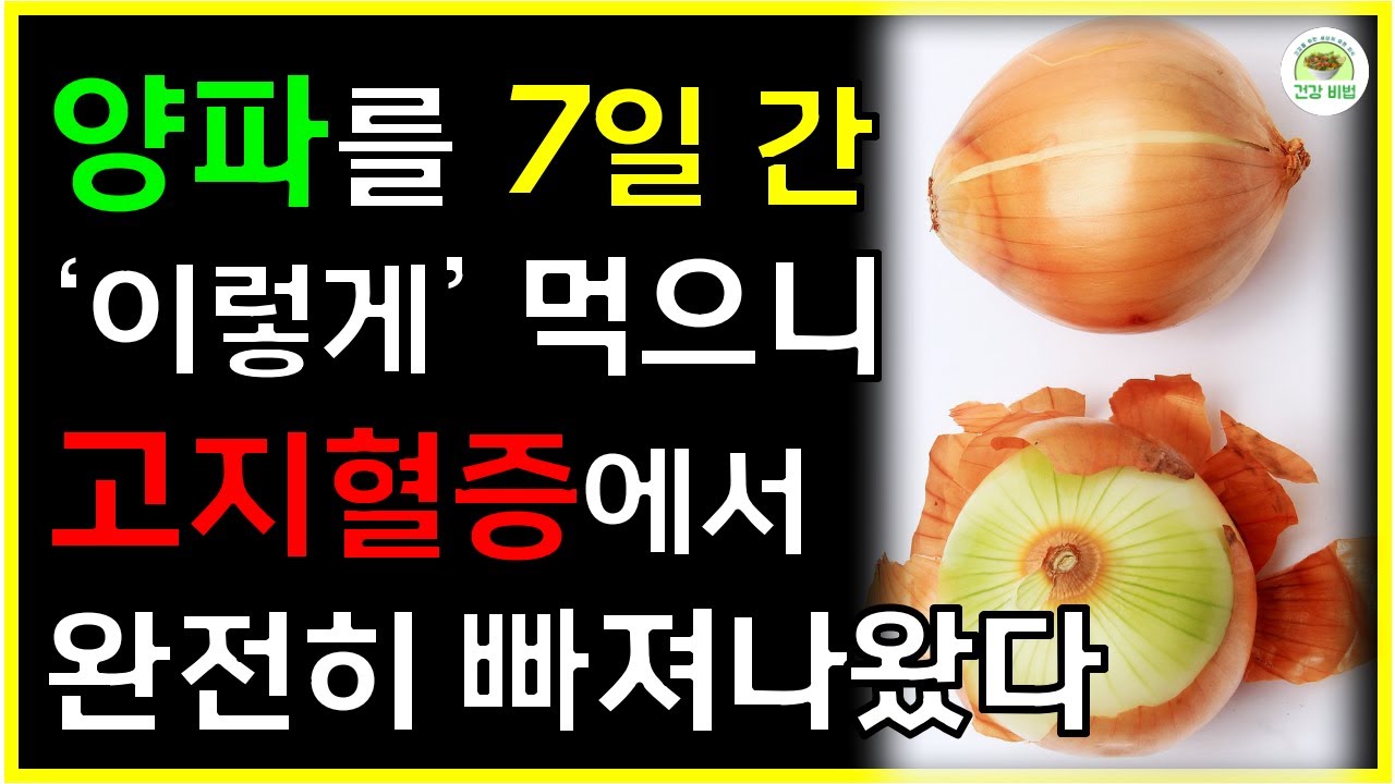 양파는 이렇게 드세요 양파를 맛있게 흡수율 높여 먹을 수 있는 방법입니다 양파 부작용 양파 효능 양파 요리 고지혈증