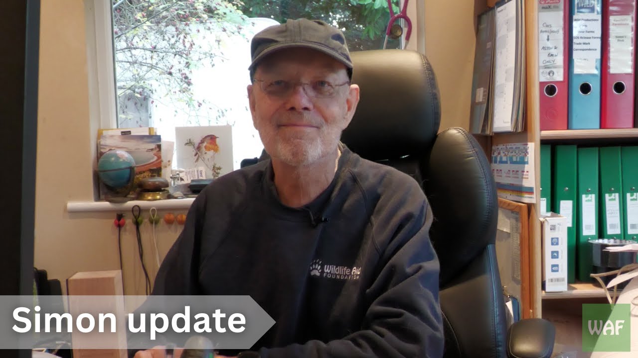 An update from Simon. - YouTube