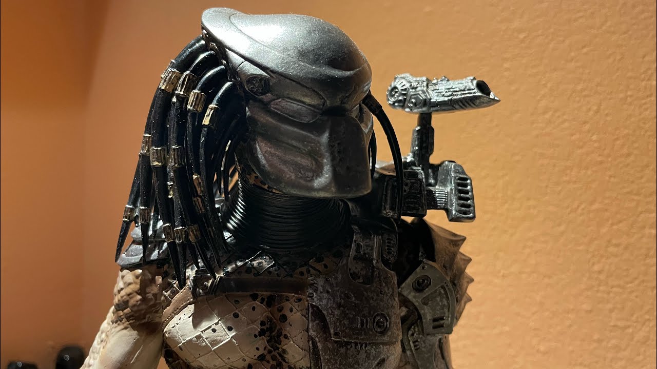 Classic P1 Predator (Update and chatting) - YouTube