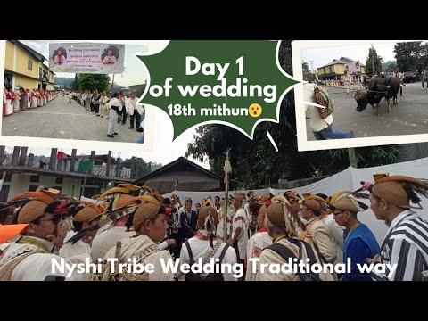 Day 1 of wedding😊//Nyshi tribe wedding//Arunachal Pradesh//my daily ...