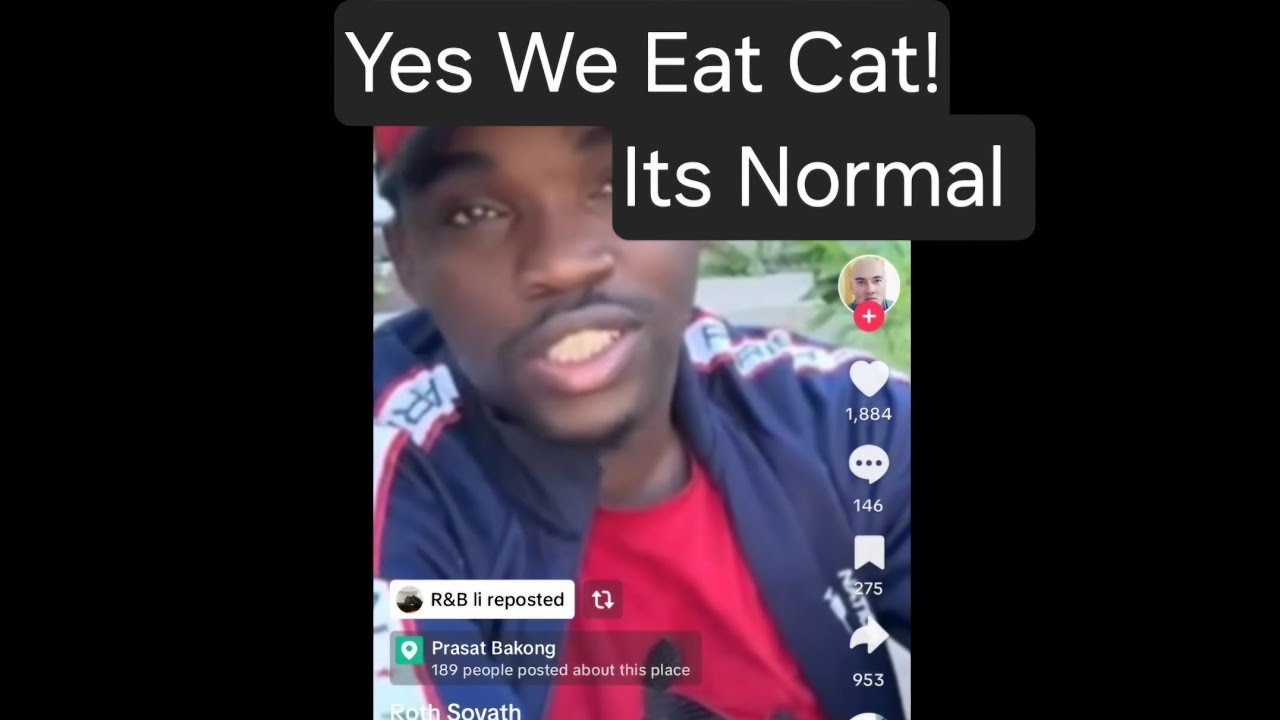 Haitians Do Eat Cat - Here Is A Family Saying- Yes it's true and it's ...