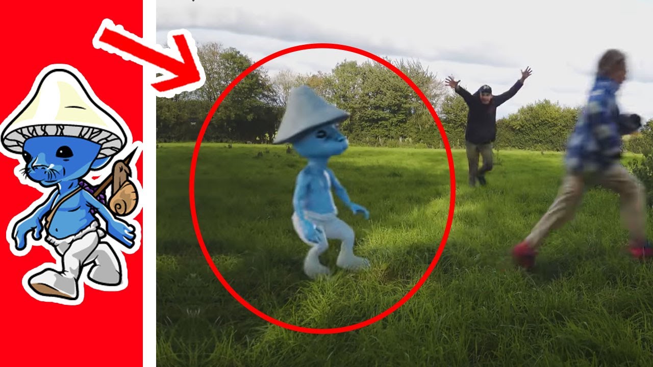 6 SMURF CAT Captados en Camara en la Vida Real - YouTube