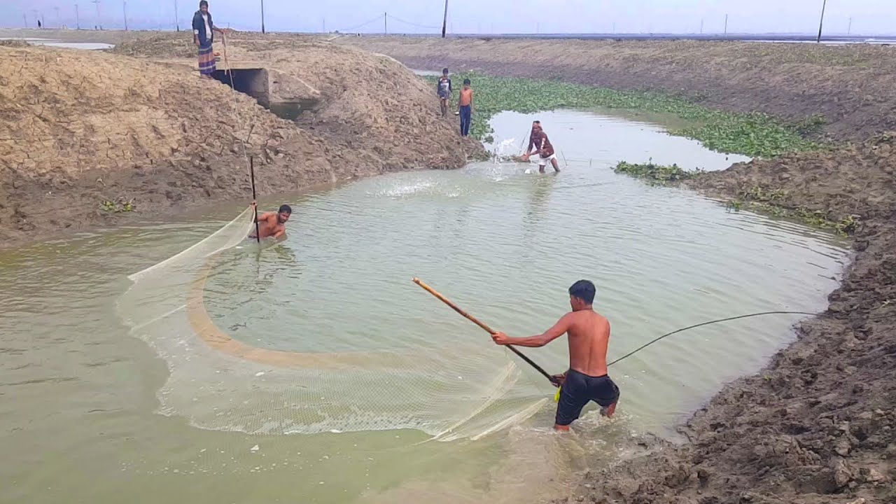 Rural fishing scene, a wonderful scene of boal fishing with nets in the ...