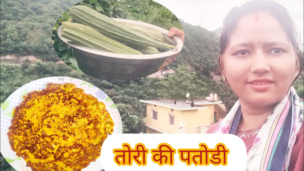 आज नाश्ते में बनाई तोरी की पतोडी।। स्वादिष्ट रेसिपी।। पहाड़ी lifestyle ...