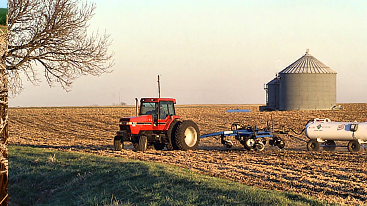 Crop Spotlight: Winter Wheat - YouTube