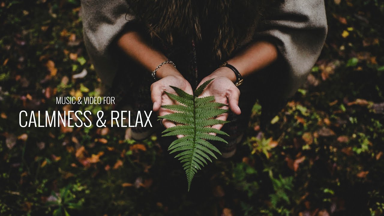 Thanksgiving Season Ambient Music, Relaxing Music for Thanksgiving ...