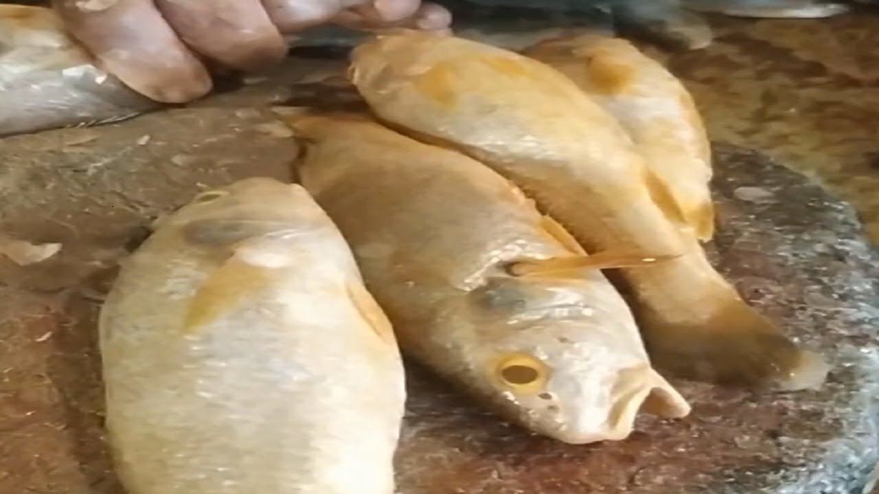 Amazing PAW FISH CUTTING inFish Market 2019. - YouTube