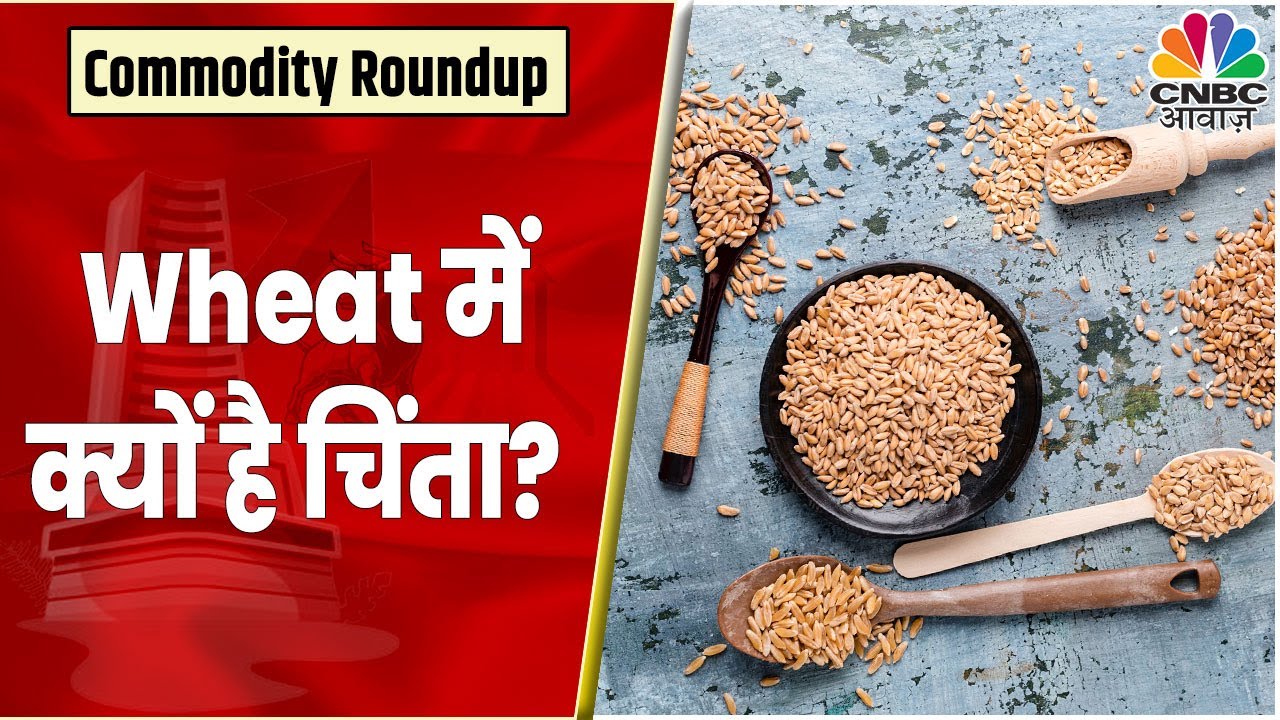 Wheat की बुआई क्यों है चिंता की बात, क्या है Expert का कहना | Commodity Roundup | CNBC Awaaz ...