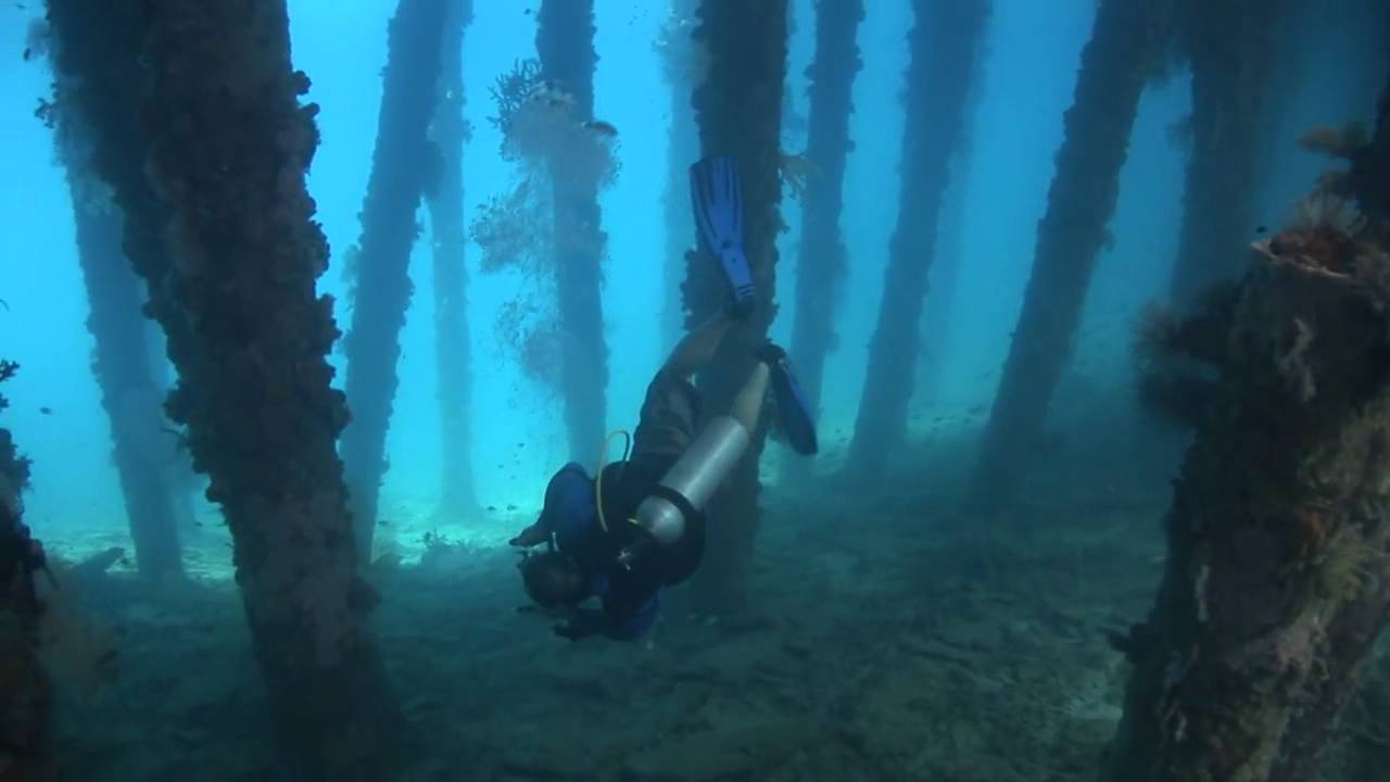 Nature TV - Diving Timor Leste ... at the Jetty of Com - YouTube