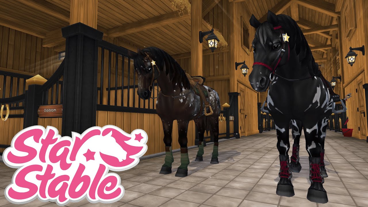 Pferdekauf Appaloosa! Gen 2 fliegt raus! | Star Stable Online Pferde ...