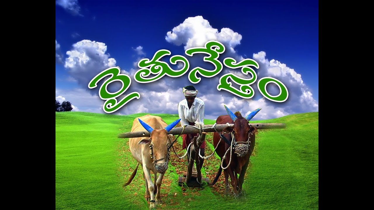 13th Nov RYTHU NESTHAM LIVE - YouTube