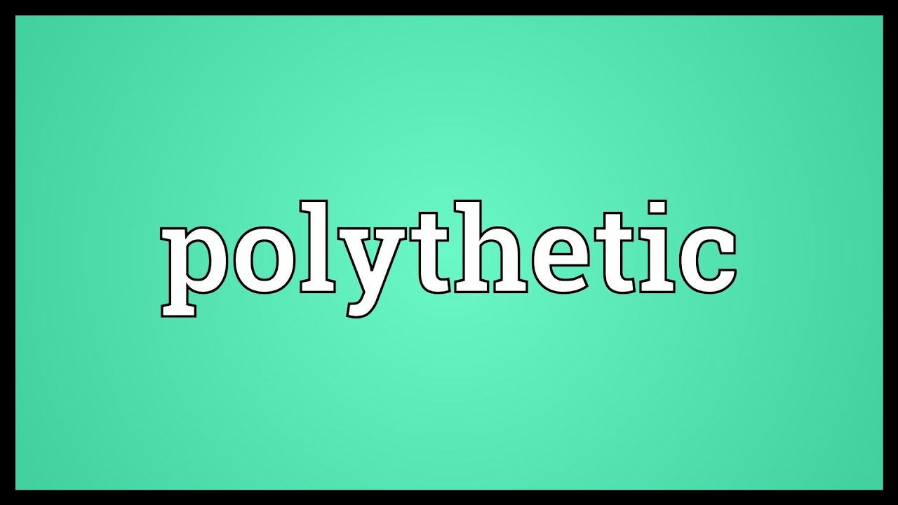 Polythetic Meaning - YouTube