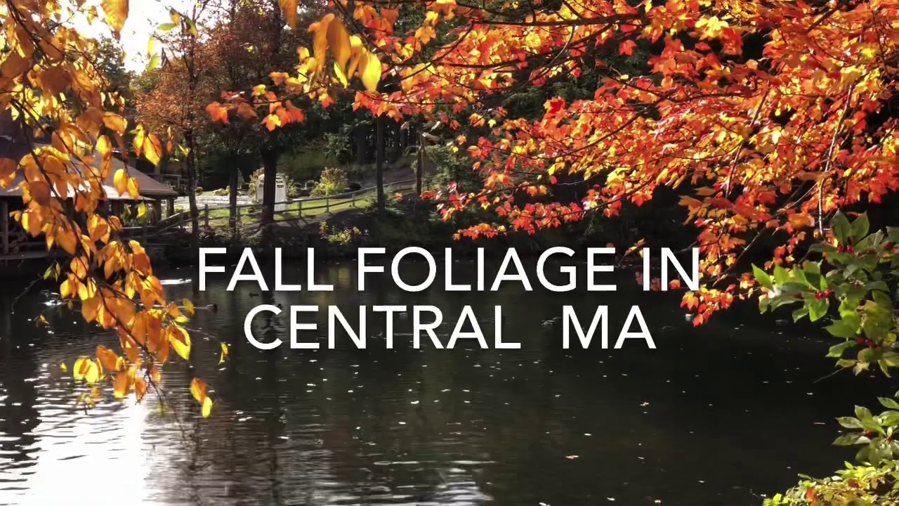 Fall foliage in Central Massachusetts - YouTube