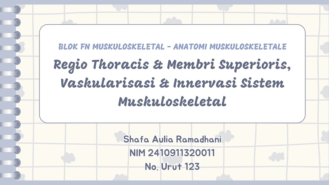 ANATOMI MS DI REGIO THORACIS & MEMBRI SUPERIORIS & VASKULARISASI ...