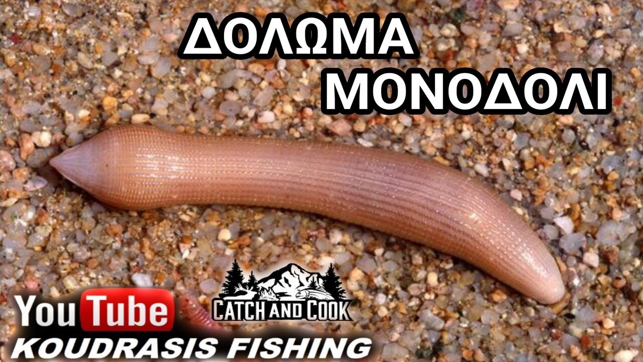 ΨΑΡΕΜΑ ΚΑΙ ΔΟΛΩΜΑΤΑ ️ ΜΟΝΟΔΟΛΙ (ΜΑΝΑ - ΝΟΤΙΑΣ - ΤΣΟΥΤΣΟΥΝΙ) - YouTube