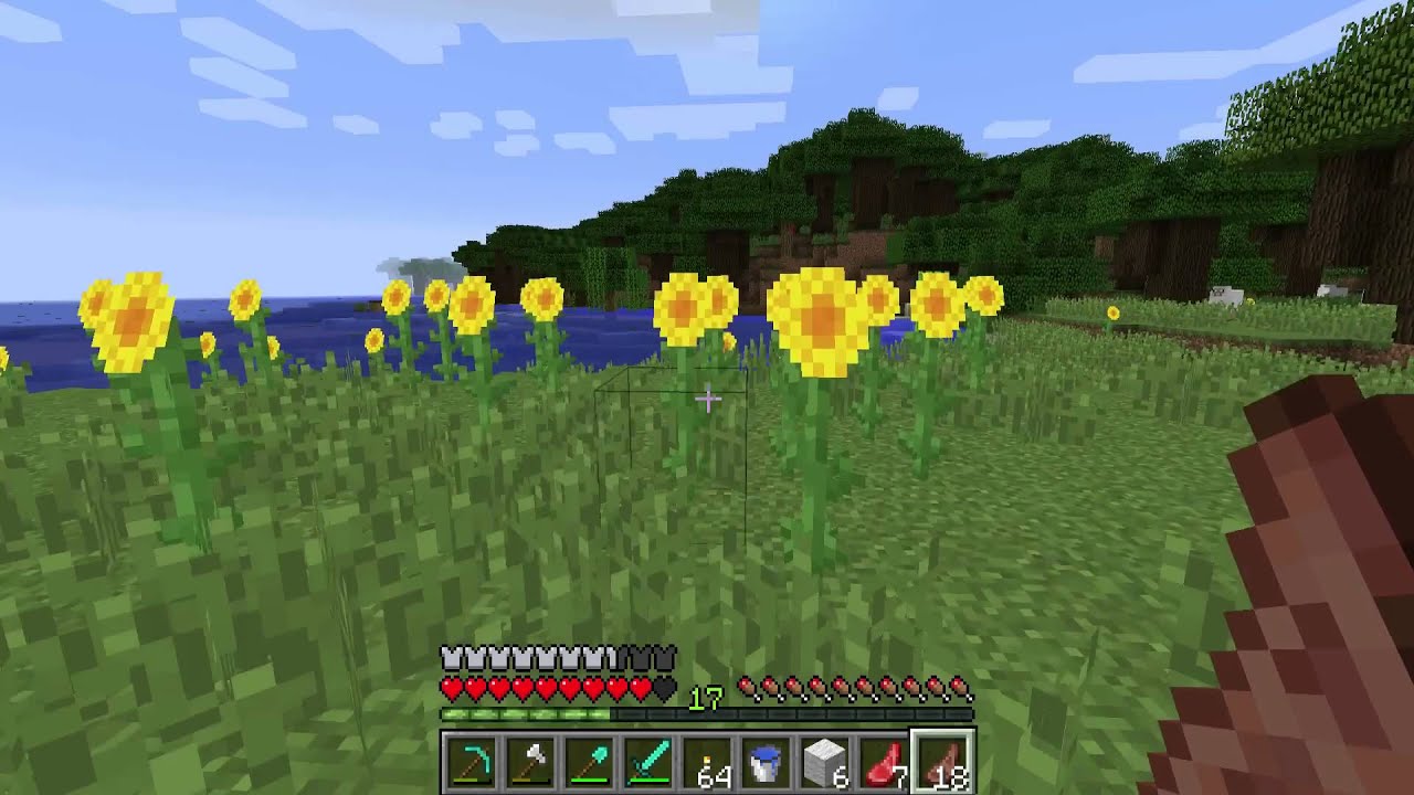 What are sunflower plains - Minecraft - YouTube