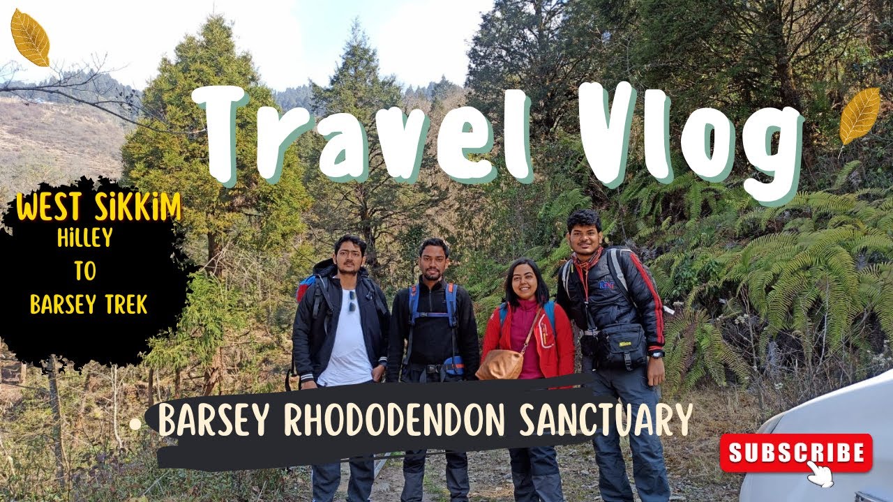 Barsey Rhododendron Sanctuary | West Sikkim | Trekking video - YouTube