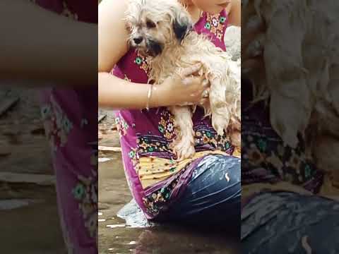 Kalikasan River Matalatala Mabitac,Laguna - YouTube