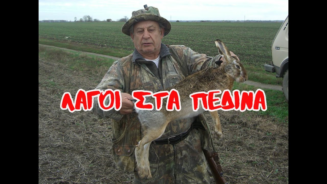 ΛΑΓΟΙ ΣΤΑ ΠΕΔΙΝΑ - YouTube