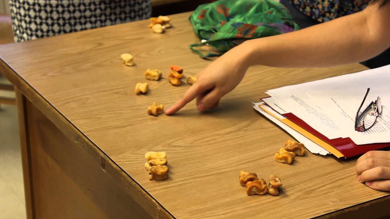 Mongolian: Shagai - YouTube