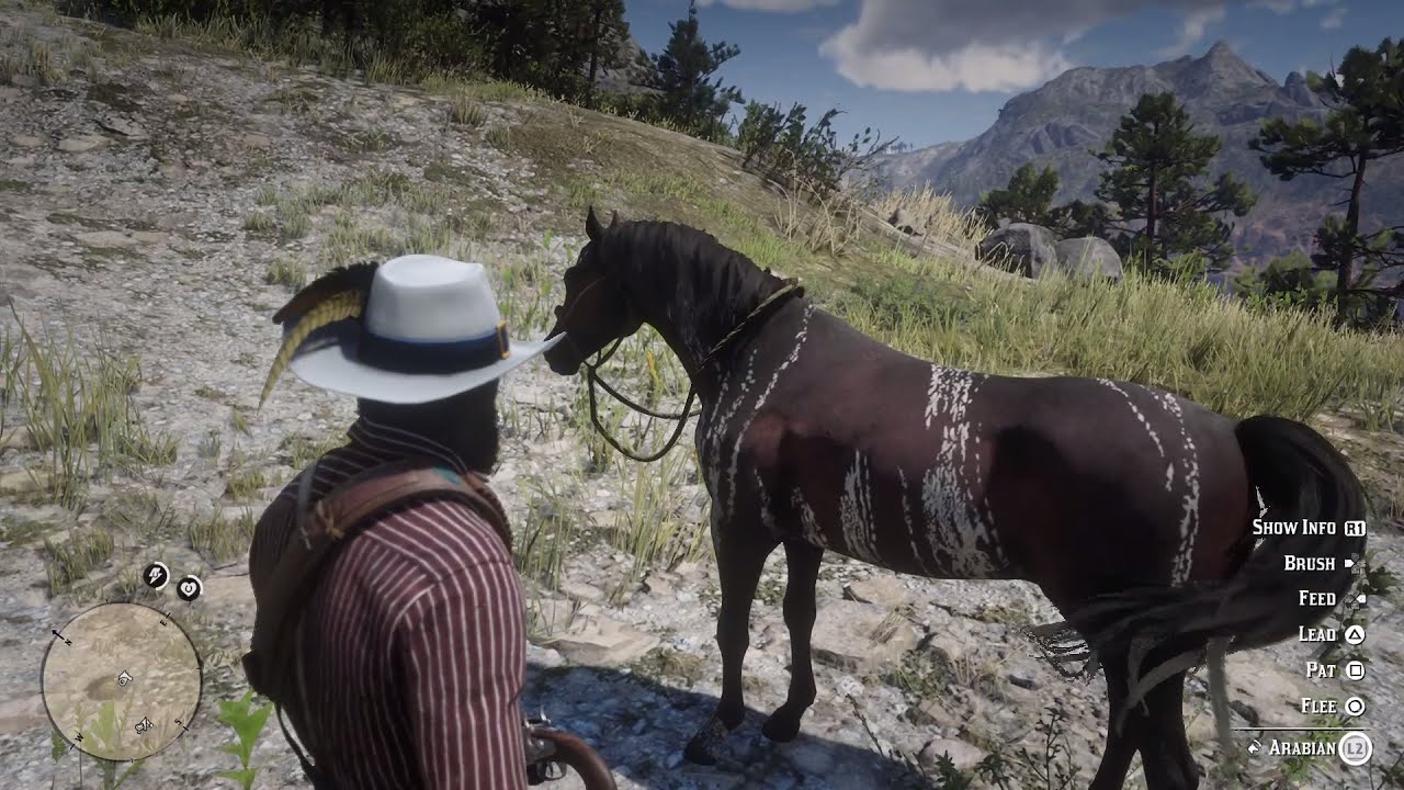Red Dead Redemption 2 - Warped Brindle Arabian Location - YouTube