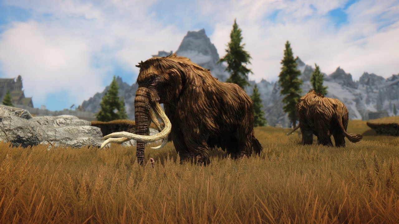 Skyrim Ultra Realistic Graphics - Test 4K - YouTube