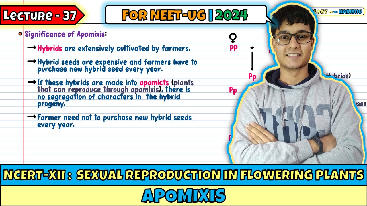 Lec 37- Apomixis | Sexual Reproduction in Flowering Plants | Class 12 ...