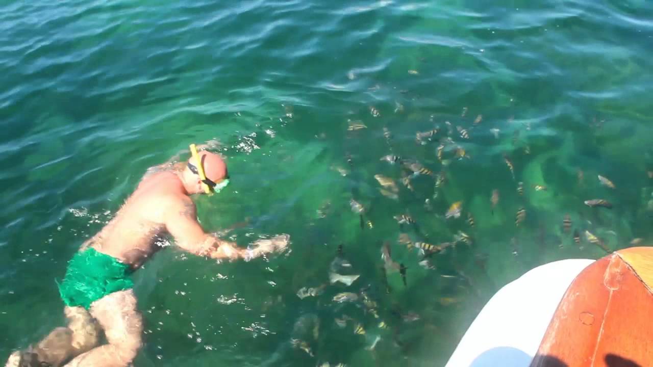 Cuba Varadero swimming with fish - YouTube