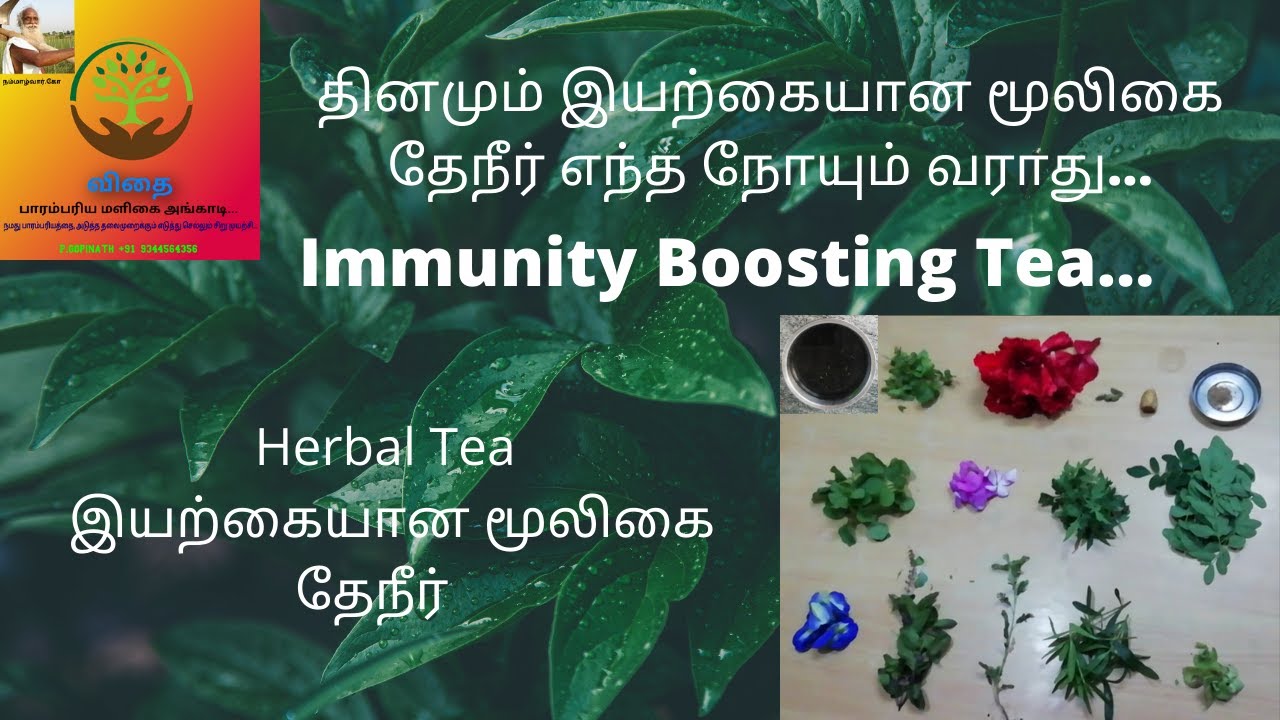 Mooligai Tea | Herbal Tea | மூலிகை தேநீர்... - YouTube