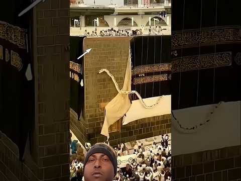 Masha, Allah makkah live madina live#makkah#madina#shorts#hajjlive#shortvideo#mecca