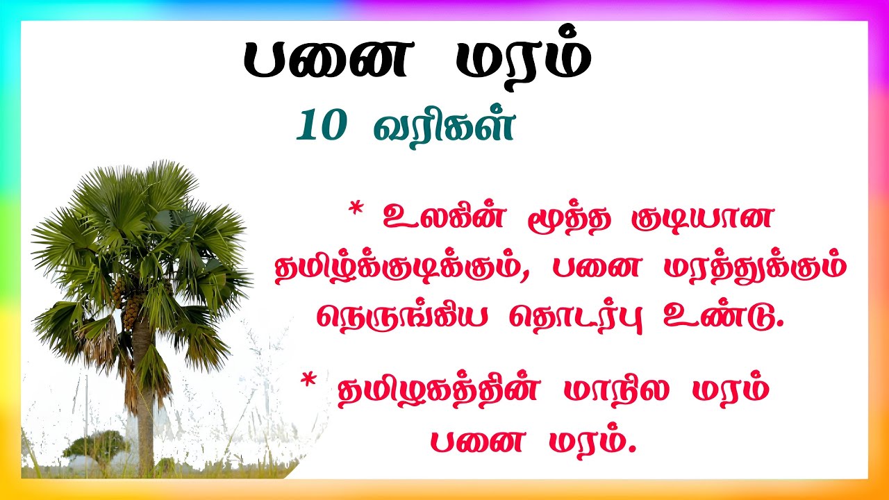 பனை மரம் | 10 வரிக் கட்டுரை | pannai maram | 10 lines in Tamil - YouTube
