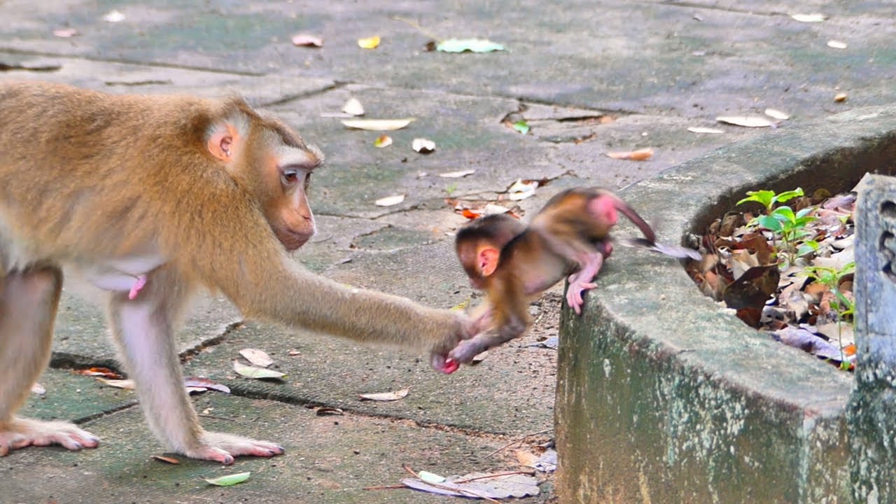 Oh God!, Mother Pulls Rapidly To Fall From High Place, Baby Gets So ...