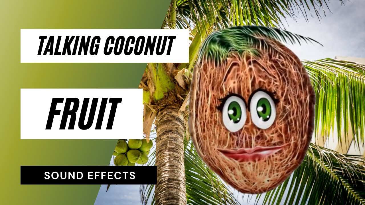 Talking Coconut Fruit - talking coconut fruit / sound effect ...