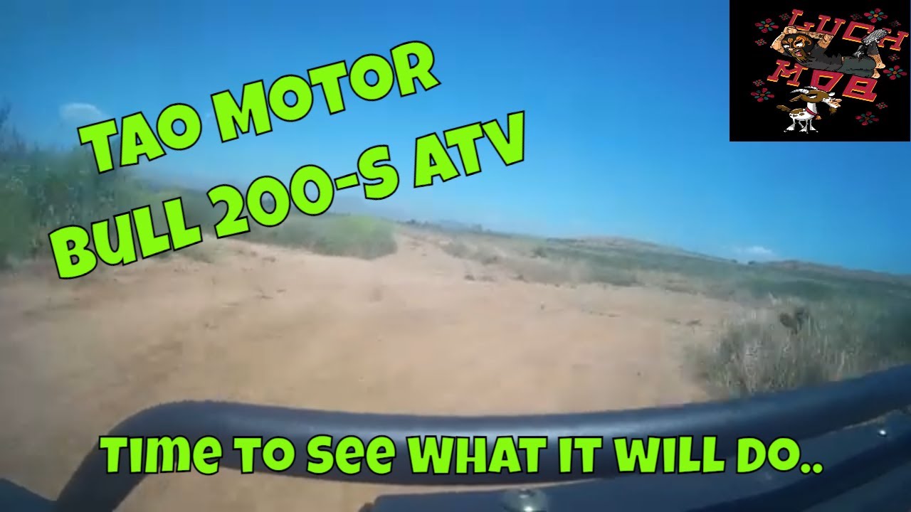 Tao Motor Bull 200-S Atv Ride 6: Buckle Up ButterCup !! - YouTube