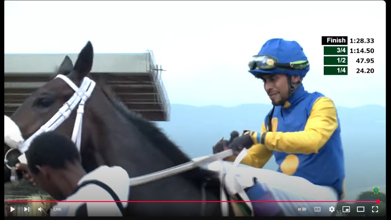 JAMAICA RACING: MS Cherry Ripens In Sat, Jan 11, 2025, 7th - YouTube