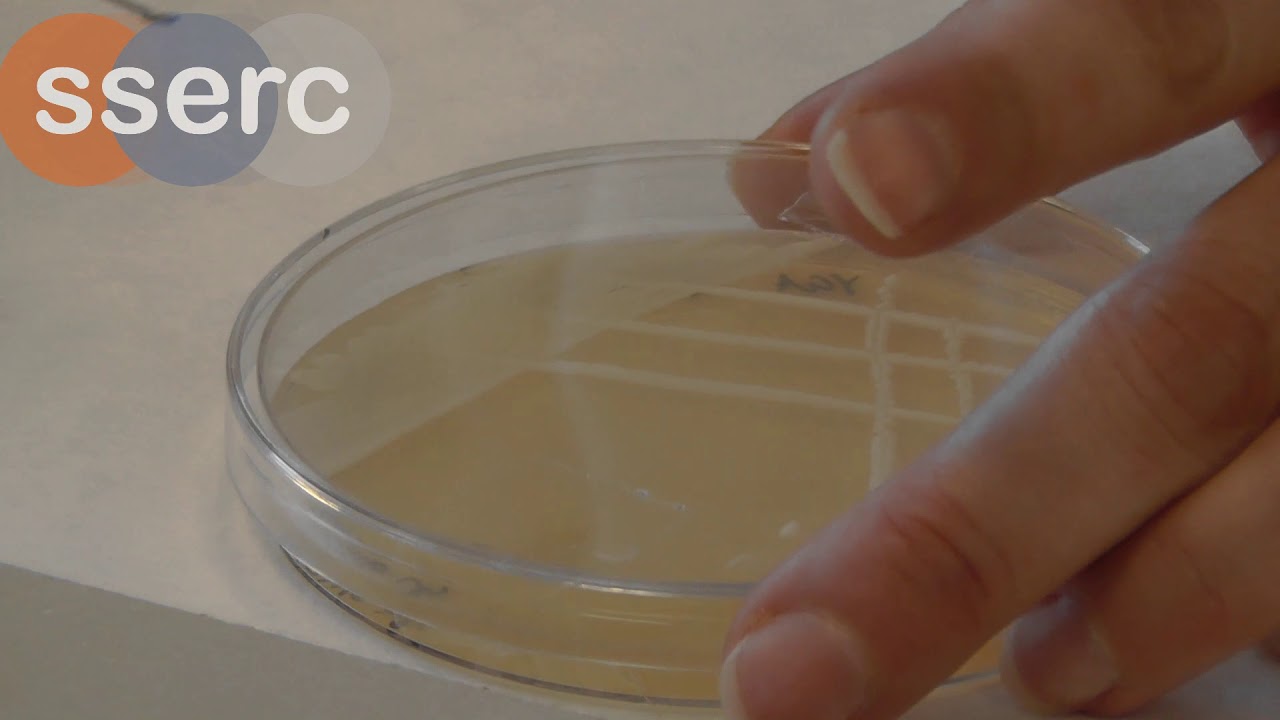 Micro Technique 2 Plate to Slope - YouTube