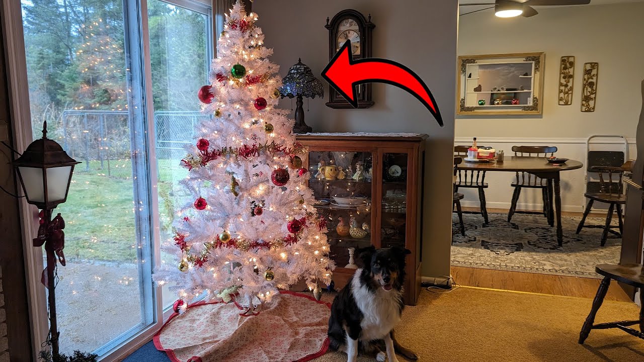 Have a White Christmas With this Beautiful Tree! - YouTube