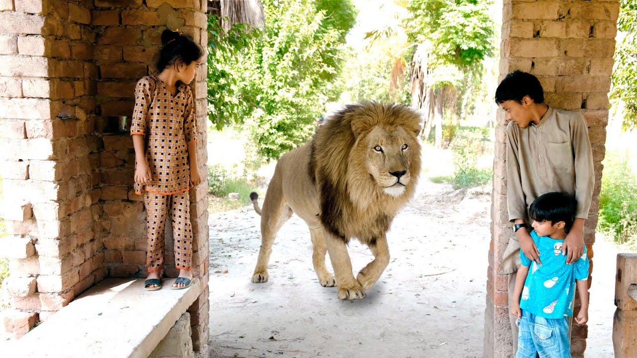 Lion Attack Childs in Forest | Royal Bengal Lion Attack Fun Made Movie ...