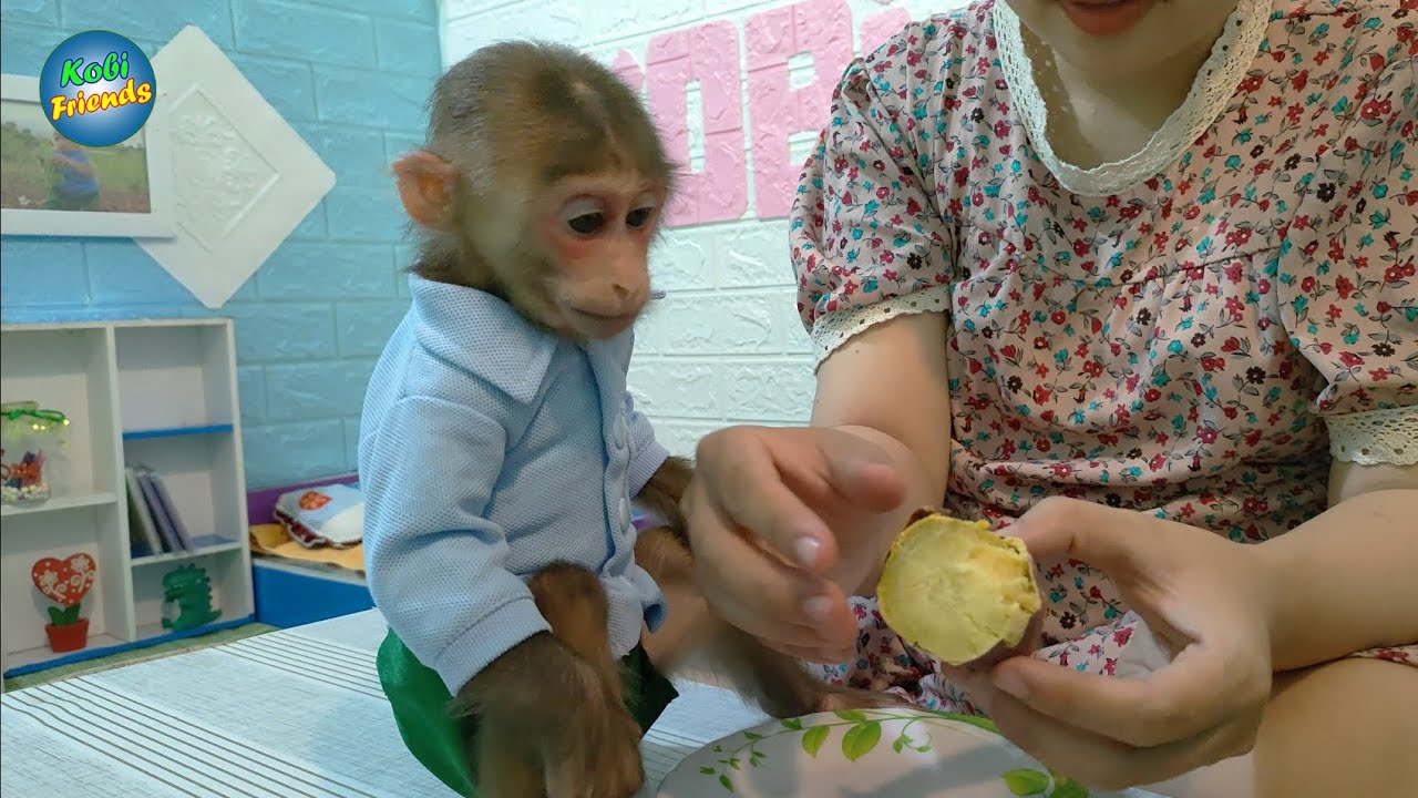 Kobi likes to eat boiled potatoes - YouTube