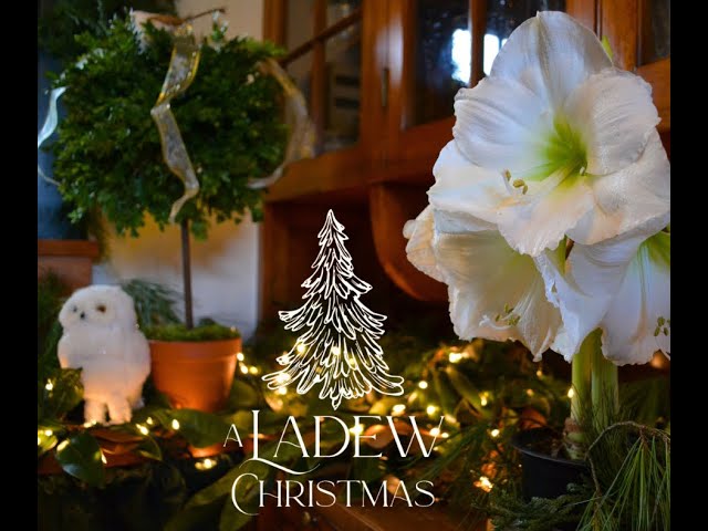 Christmas At Ladew Gardens
