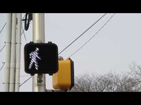 Leotex LED Countdown Walk Signal With New Camera - YouTube