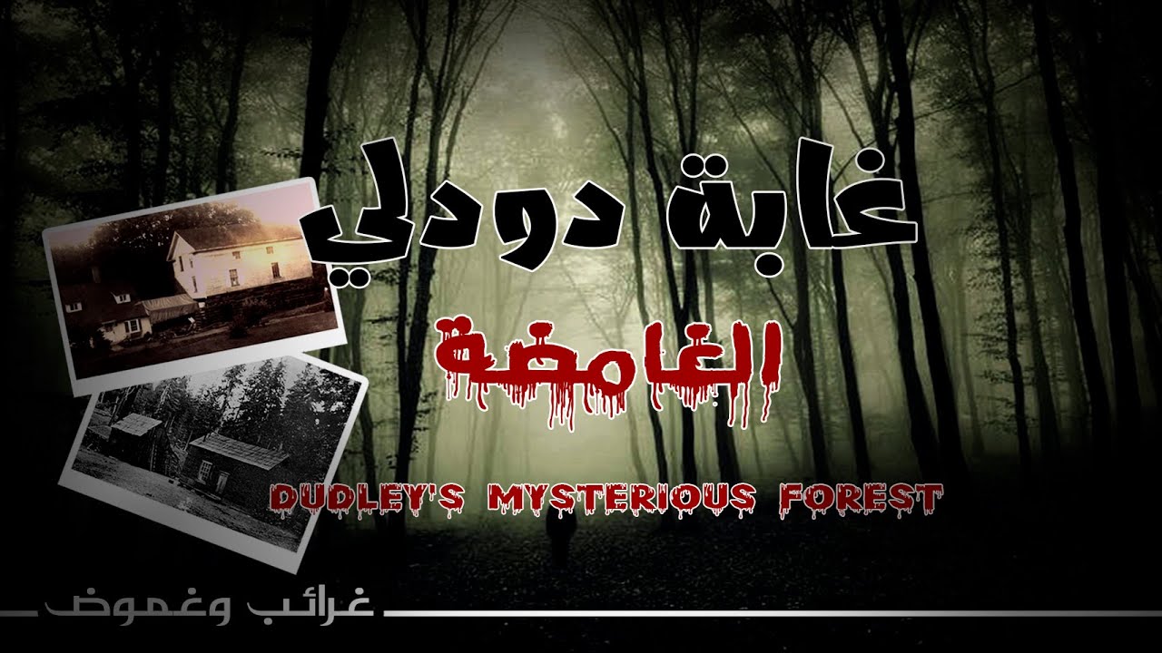 ماذا يحدث في غابة دودلي الغامضه ؟ What's happening in Dudley's ...