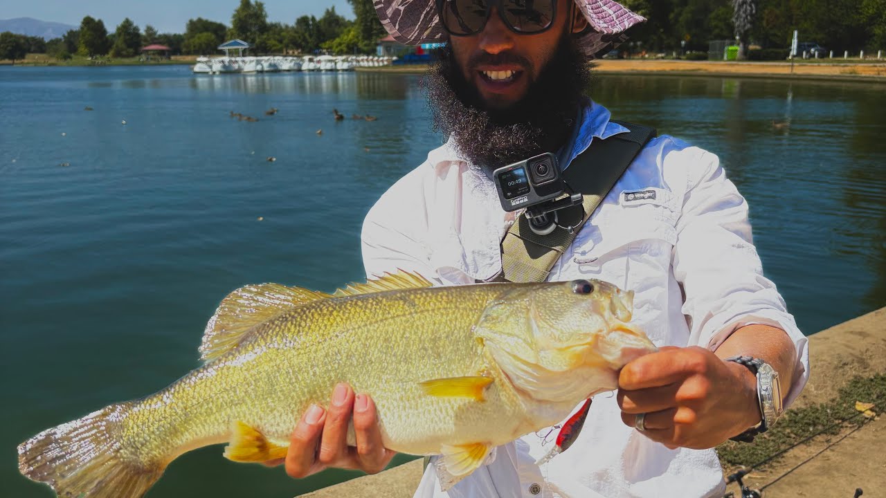 CITY Fishing for BIGGENS!!! (Balboa Lake) - YouTube