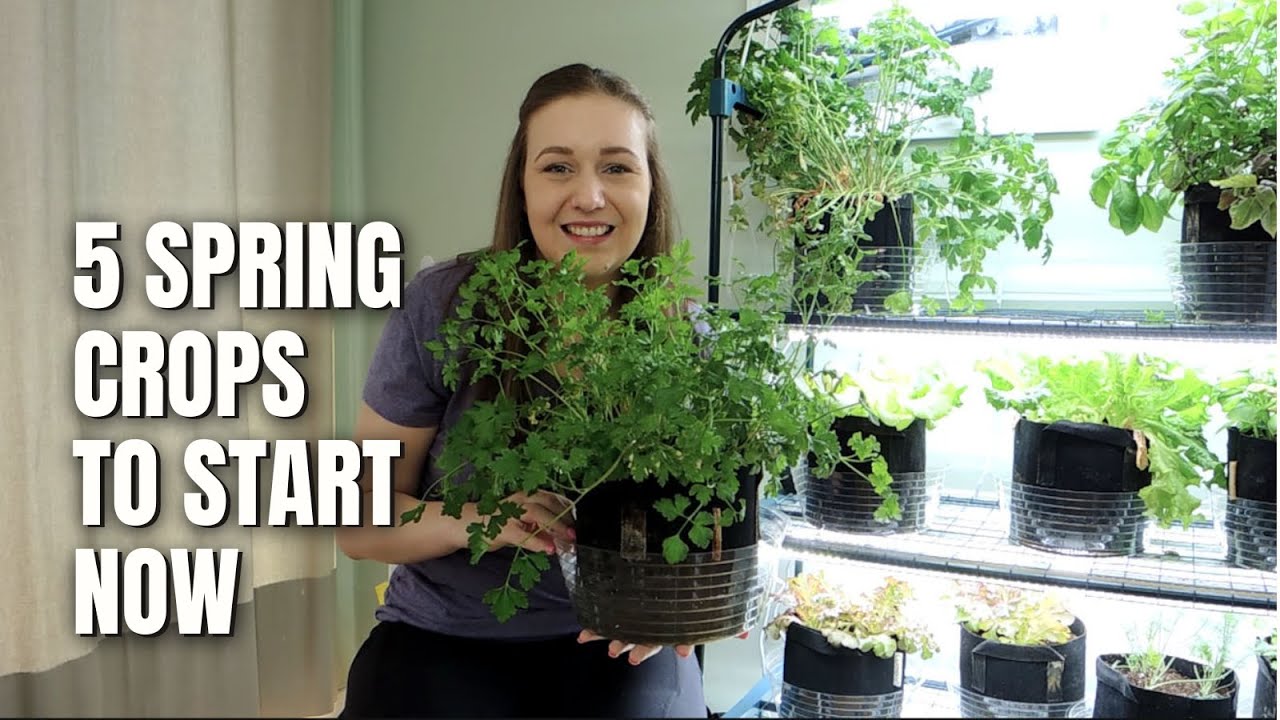 5 Spring Crops You Can Start Now - YouTube
