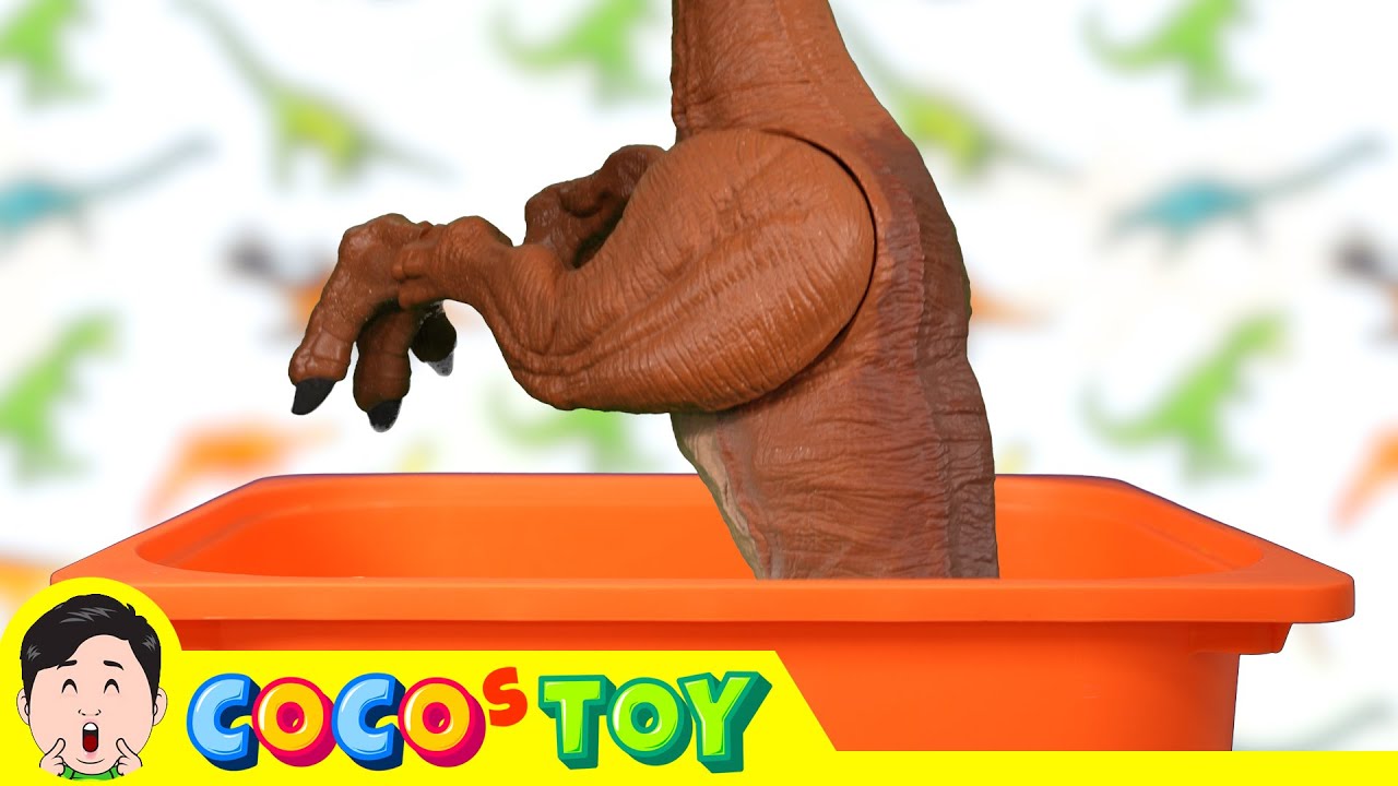 "Catch the bigger animal" game!｜Cartoon for children｜CoCosToy - YouTube