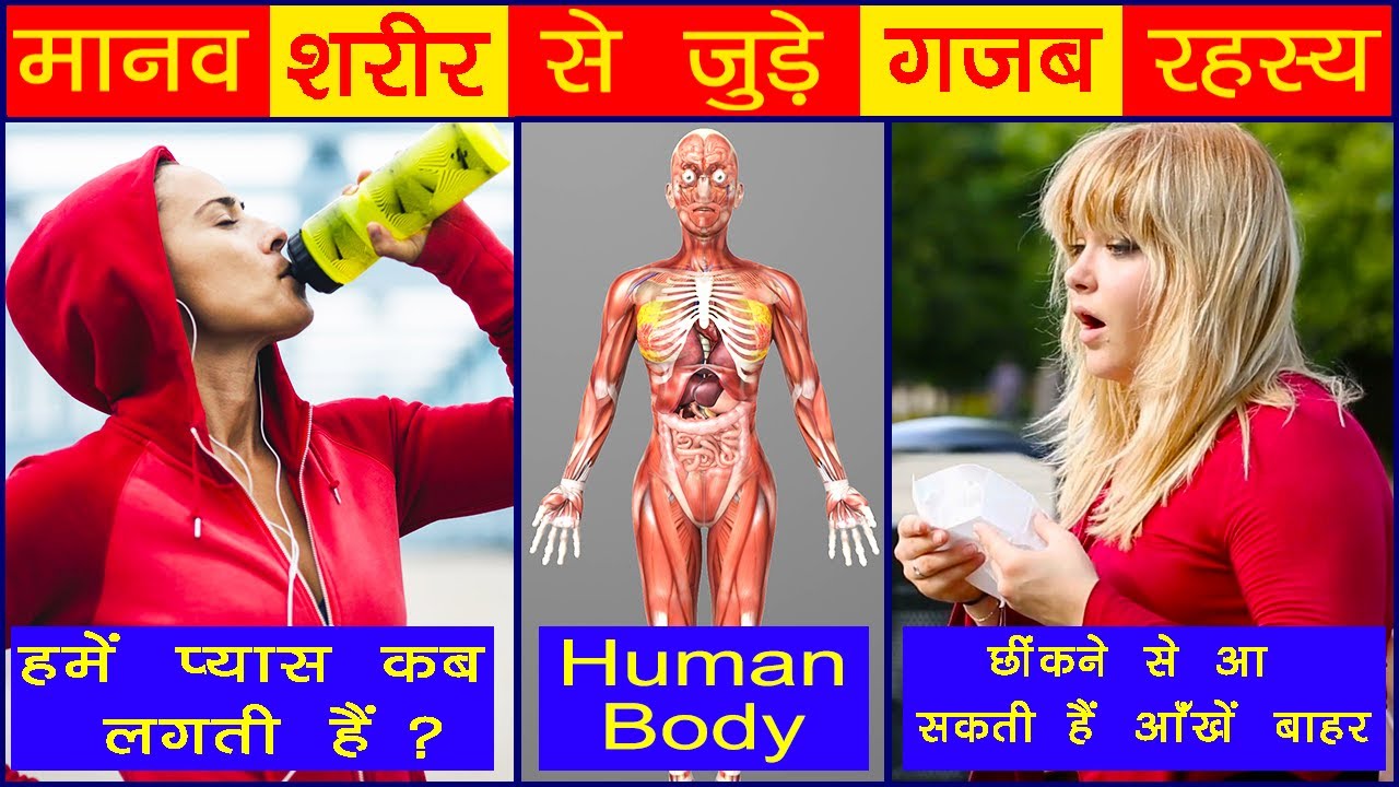 Amazing Secrets Of Human Body | मानव शरीर से जुड़े गजब के रहस्य | Fast ...