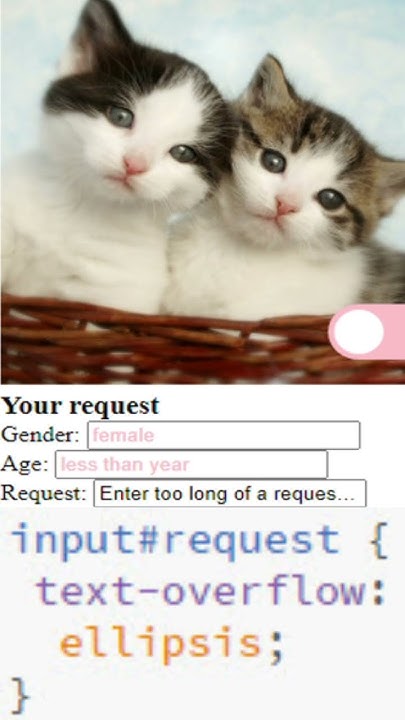 CSS text overflow ellipsis - YouTube