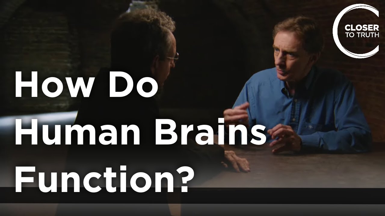 Colin Blakemore - How Do Human Brains Function? - YouTube