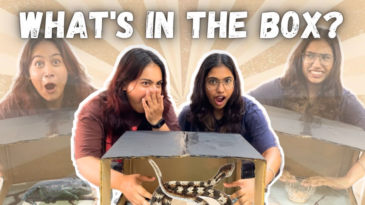 WHAT'S IN THE BOX? - YouTube