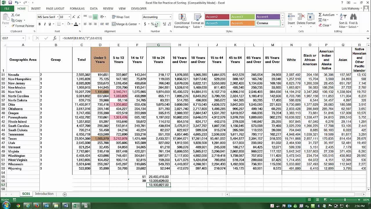 Lois Mahoney Conditional Formatting SumIf CountIf Sorting - YouTube